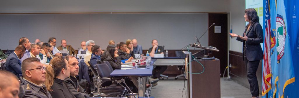 Using Complementary Strategies to Solve Common Problems - William J. Perry Center