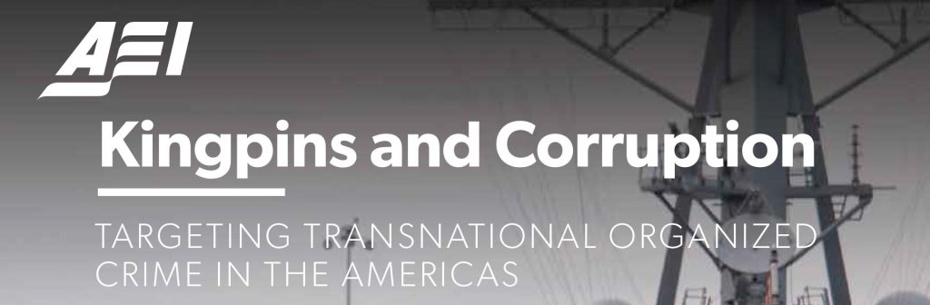 Perry Center Professors Contribute to AEI Report - William J. Perry Center
